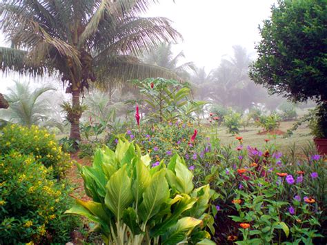 Blue Green Atlas The Geography Of Belize
