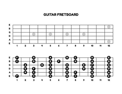Guitar Fretboard Notes Diagram By Dmitrii Sokoliuk Tpt