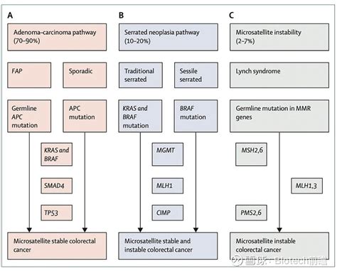 结直肠癌的流行病学、治疗现状及免疫治疗突破 要窜一套结直肠癌治疗的幻灯，对于这个癌种，掌握程度不如肝胆胰，还是从文献整理开始搞起来吧。 ——结直肠癌流行病学——几十 雪球