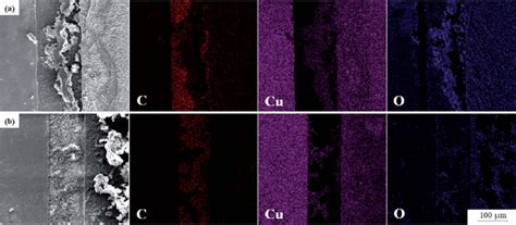 SEM And Elemental Mapping Images Of Spacing After H Test A Group Download Scientific