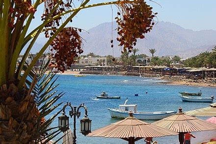 Sinai Peninsula Wikipedia