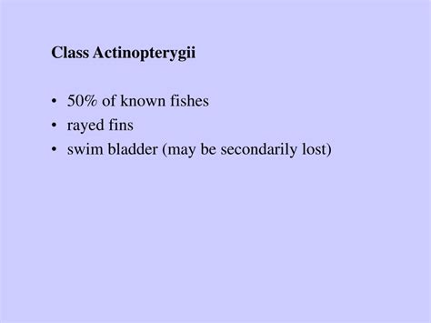 PPT Diverse Evolution Of Fish Classes In Aquatic Ecosystems
