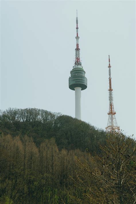 거리 사진 건물 경치 경치가 좋은 계절 고층 건물 공원 나무 대도시 대한민국 도시 공원 도시 녹지 도시 사진 도시 생활 도시 풍경 도시의 자연