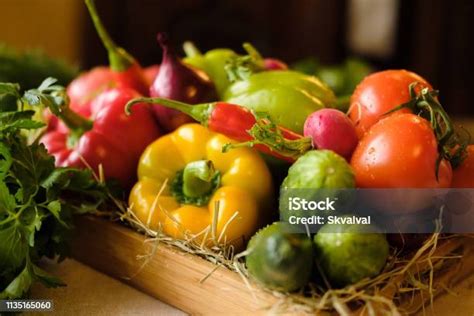 나무 배경에 나무 상자에 신선한 야채와 허브의 그룹입니다 오이 파프리카 후추 오이 토마토 및 허브 수확 하 고 건강 한 유기농 식품 컨셉 0명에 대한 스톡 사진 및 기타