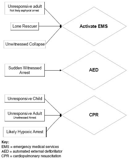 An Update On Pediatric BLS And PALS Guidelines The Relias Media