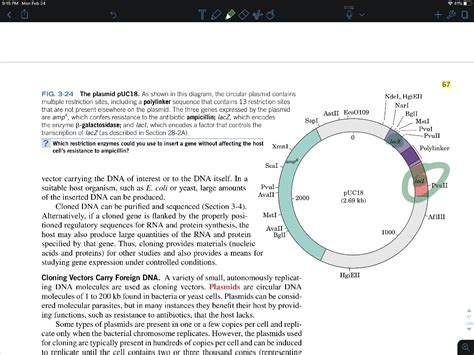 Solved Refer To The Diagram Of Puc18 Fig 3 24 To