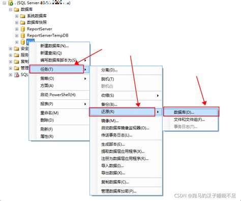 Sql Server 2012数据库备份和还原sql2012数据库备份与还原 Csdn博客