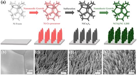 A Schematic Diagram Of The Synthetic Route Of The Ncsnc Ldh Download Scientific Diagram