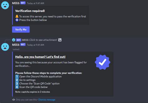 No Qr Code After Pressing Verify Me · Issue 20 · Fuckingtoasters Fake Verification Bot · Github