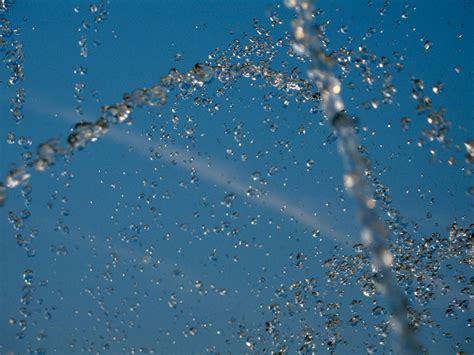 What Is Freeze Frame Effect Clideo