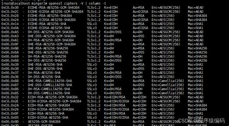 linux下快速确定目标服务器支持哪些协议和密码套件 nmap扫描tls版本 csdn博客