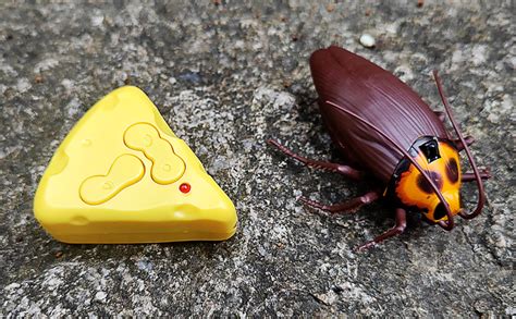 Tipmant Mini Rc Cockroach Toy Remote Control Roach Insect