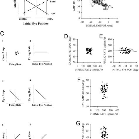 A Schematic Of The Behavioral Dissociation Of Gaze Eye And Head Download Scientific Diagram