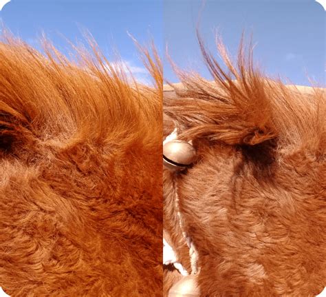 Oppo A Price In Pakistan Homeshopping