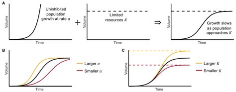 The Logistic Growth Model A Volume Grows Uninhibited At Rate í µí¼ Download Scientific