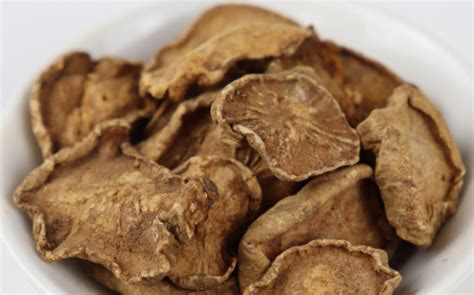 돼지감자차 효능 부작용 꾸준히 마시니 완전 좋음요 네이버 블로그