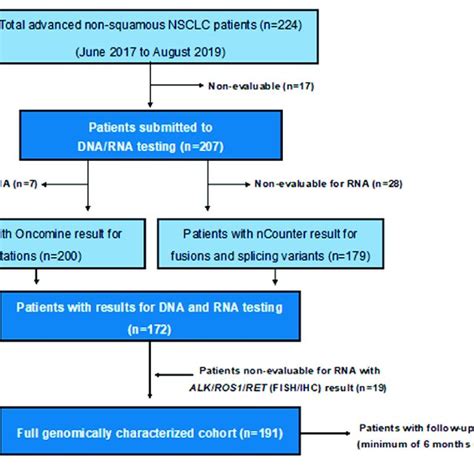 Flow Diagram Nsclc Non Small Cell Lung Cancer Os Overall Survival Download Scientific