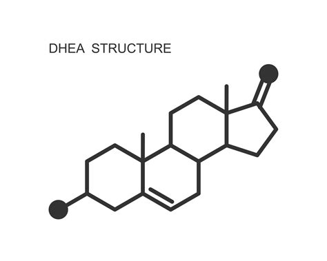 Dhea Chemical Structure At Rosetta Cogan Blog