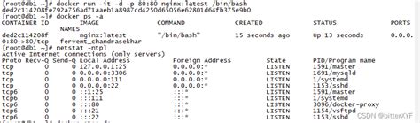 Docker 创建nginx容器无法访问docker 安装nginx 访问nginx无法访问 Csdn博客