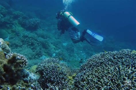 Sumilon Island 2 Fun Dives Adventure