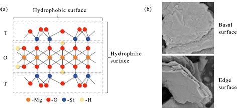 Study On The Flotation Behavior Of Cms Na For Talc With Different