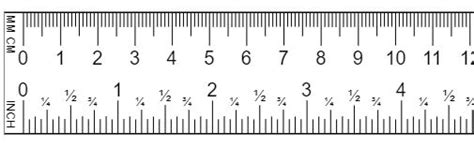 Etapa Diagnóstica