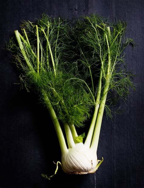 Premium Photo | Fennel