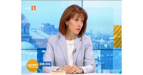 Камелия Нейкова ЦИК трябва да подобри организацията на гласуването в чужбина