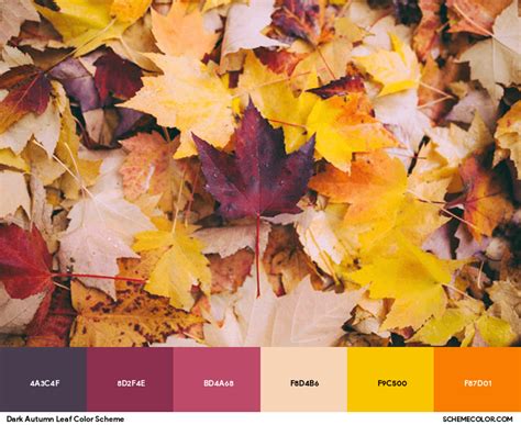 Autumn Leaf Color Palette