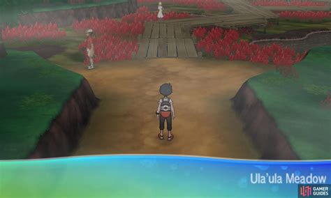 Ula Ula Meadow Alola Route 17 Bulbapedia The Community Driven