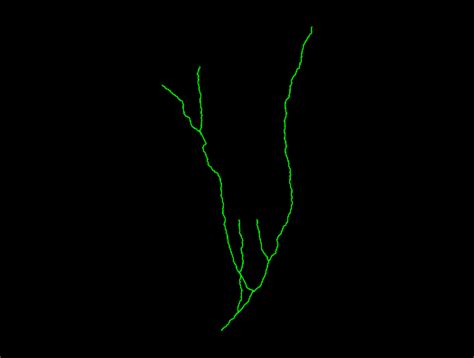 Detailed Cell Information Segmentationcell010