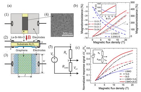 Engineering Of Advanced Materials For High Magnetic Field Sensing A Review