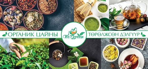 Эрхэм хүндээ эрүүл мэндийн цайг Tea Garden By Tea Lovers