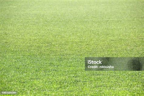 축구 스포츠에 대 한 텍스처 녹색 잔디입니다 밝은 태양 축구 필드 스포츠 텍스처입니다 아름 다운 햇빛 Bokeh와 햇빛 축구 필드입니다 상위 뷰 클로즈업입니다 0명에 대한
