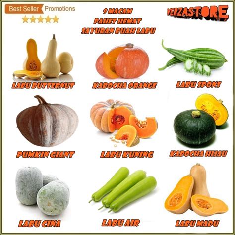 Biji Benih Paket Hemat 9 Macam Benih Sayuran Buah Labu Kabocha Labu Butternut Labu Madu Labu