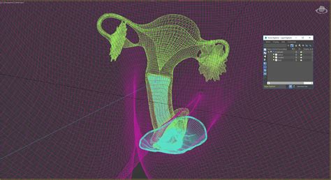 Female Condom 3d Model 69 Max Free3d