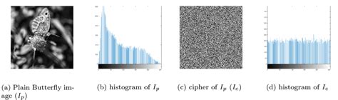 Histogram Comparison Of The Ipdocumentclass 12pt Minimal