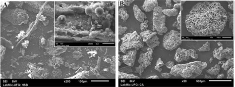Scanning Electron Microscopy Of Hydrochar A And Activated Carbon B Download Scientific Diagram