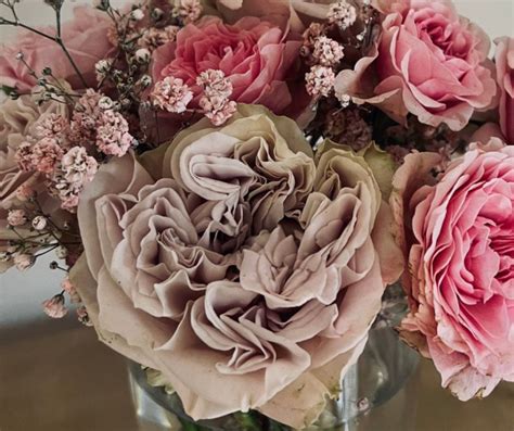 Westminster Abby Rosen Aktion Für Dein Zu Hause Blumen Flora Line
