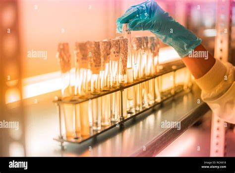 Female Scientist Working In A Biotechnology Laboratory With Reactors