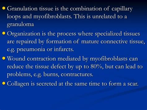 Ppt Wound Healing Principles And Classification Powerpoint