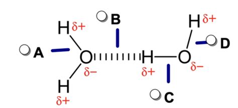 Intermolecular Forces Flashcards Quizlet