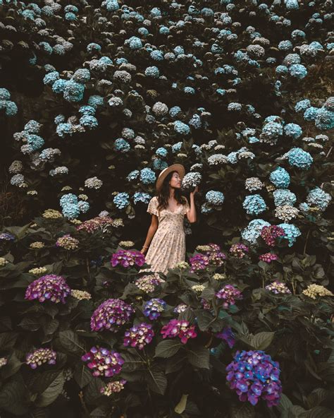 Ultimate Guide Best Variable ND Filters Wit And Folly