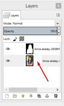 6 Quick Steps To Remove Image Background Using Gimp