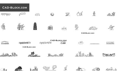 Hedges Dwg Cad Blocks In Elevation 47 Off