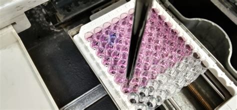 Diagnostic Assay Development Characterized Raw Materials Custom Controls And Reference