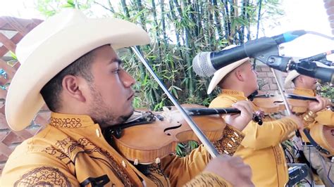 Huapango Arribeño Cacho Y Sus Ases La Burra Orejona Y El Son De La