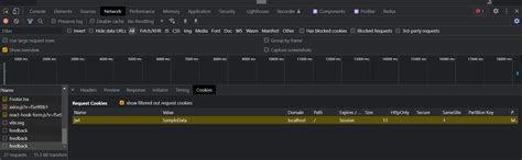 Nodejs Cookies Missing In Chrome Dev Tools Application Tab But Visible Under Network Section