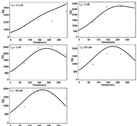 Tumor From Mathematical Chemotherapy Model Assessed With