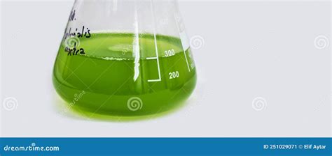 Marine Microalgae Stock Image 19077763